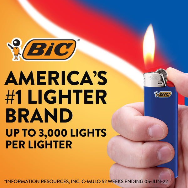 BIC Special Edition Pickle Series Pocket Lighters, Set of 6 Lighters ...