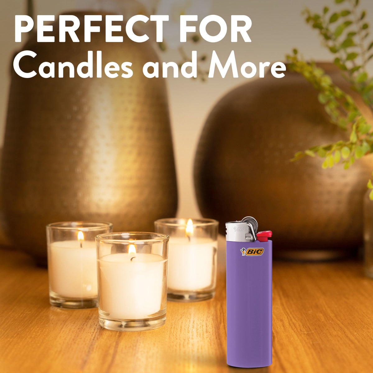 BIC Special Edition Pickle Series Pocket Lighters, Set of 6 Lighters ...
